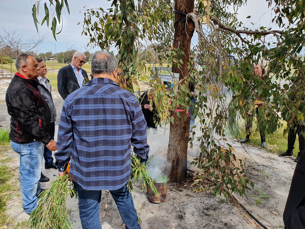 Tuart Tree Supply and Relocation The Arbor Centre