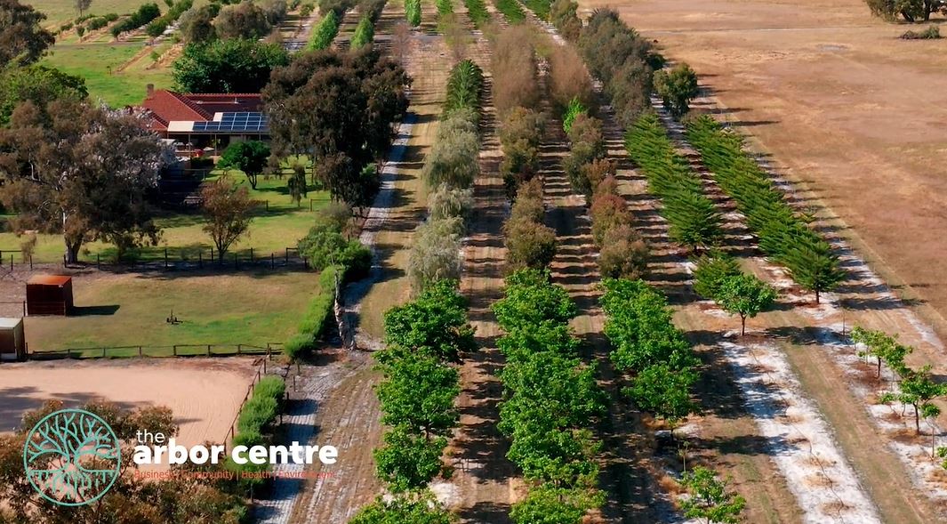 Tree Farm Supply Video