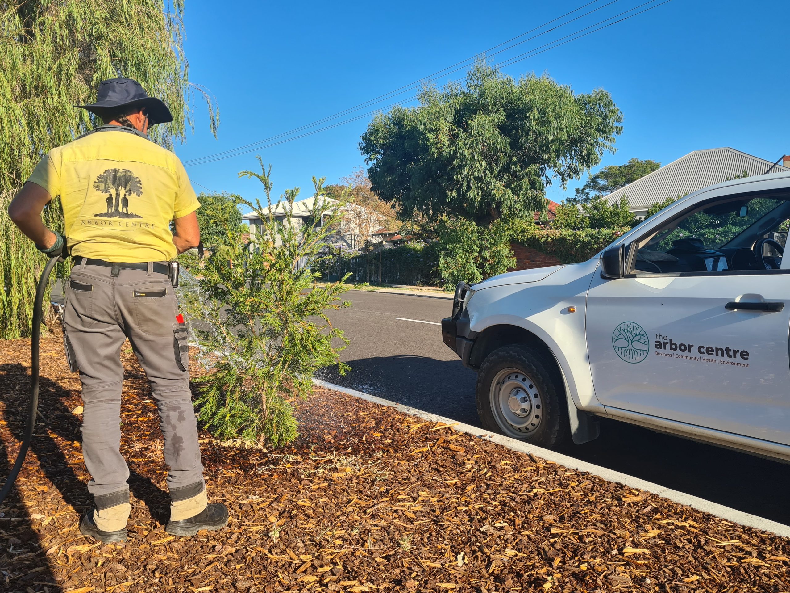Introducing Our Professional Tree Watering & Aftercare Service