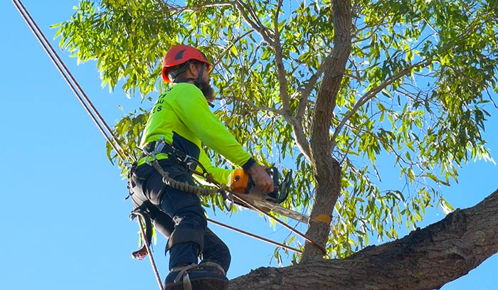 The Arbor Centre - Tree Services Perth